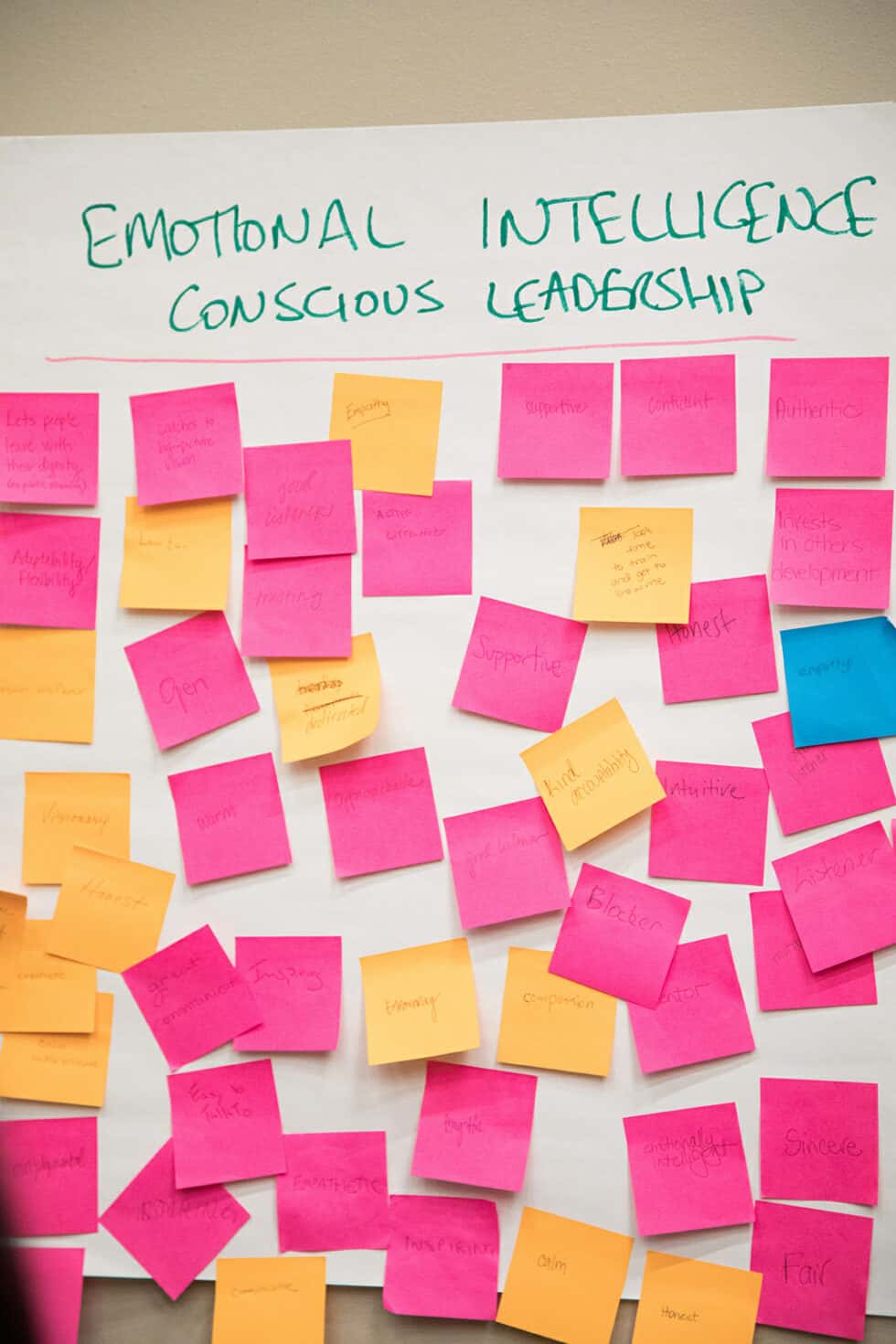 Insight Coaching & Consulting |Conscious leadership and executive ...