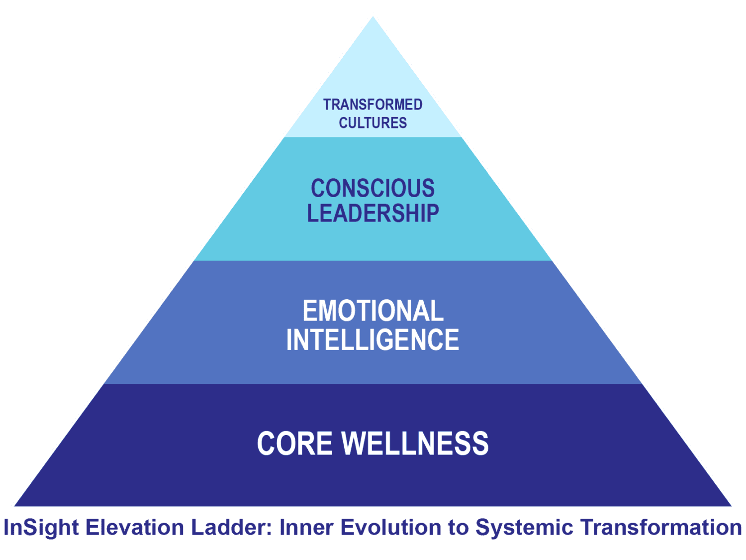 Evolving Leaders and Organizations for The New Era | Insight