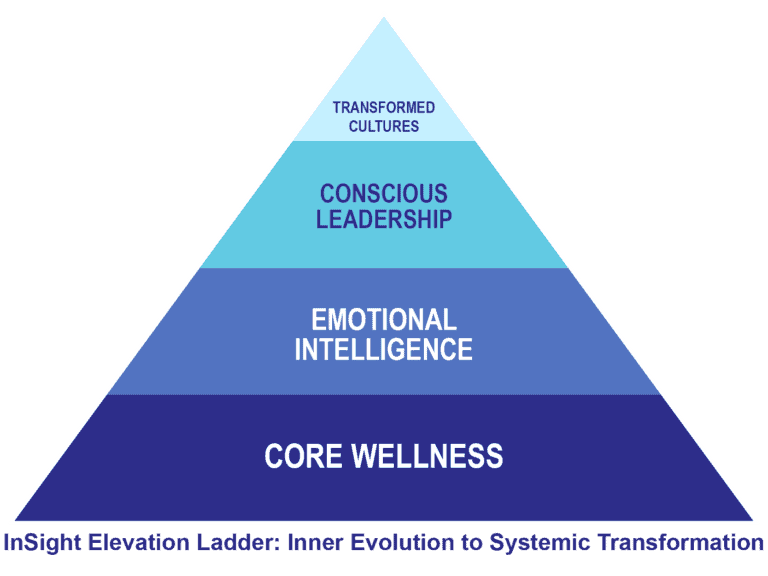 Evolving Leaders and Organizations for The New Era | Insight